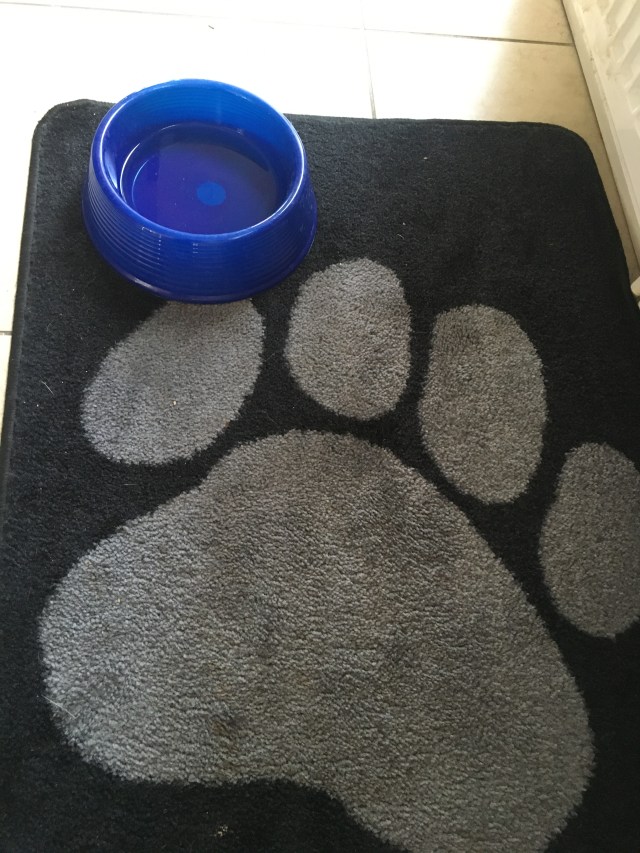 Falls and Bruises, Mixed with Magic – Inspiring Blogs for You ...