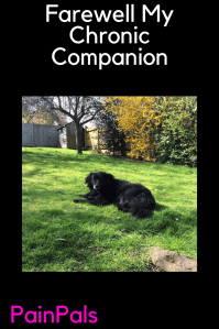 Farewell My Chronic Companion – PainPalsBlog